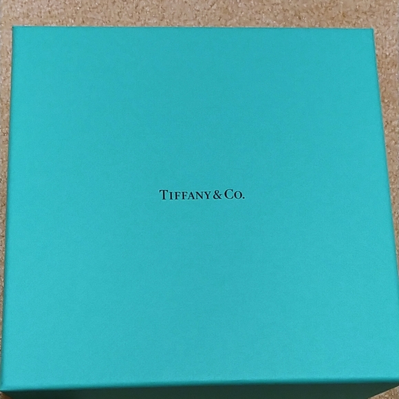 Tiffany & Co. | Other | New Large Tiffany Gift Box | Poshmark